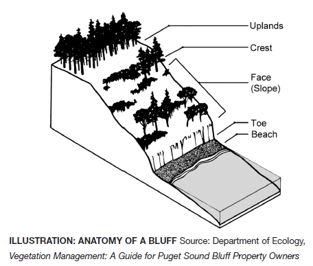 Waterfront Defined | Windermere Real Estate
